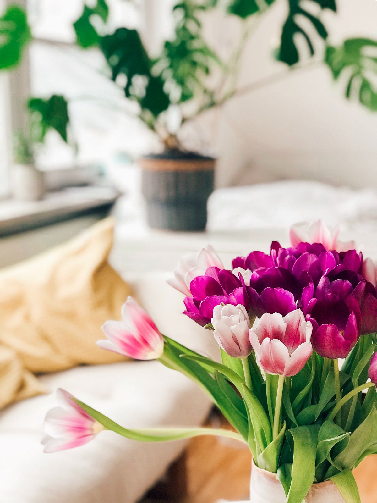 Rendere la tua casa più bella con i fiori: da dove iniziare